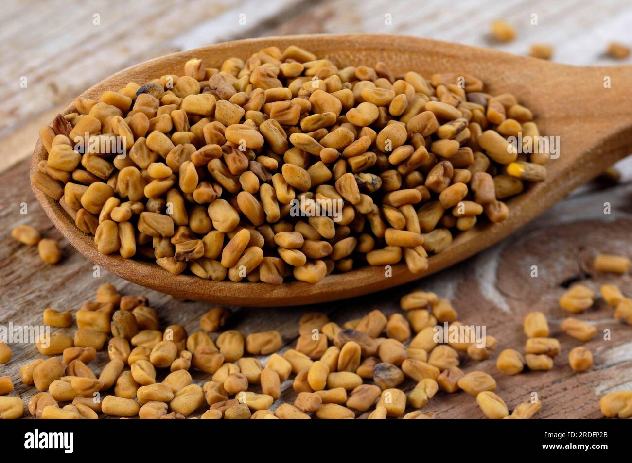 Fenugreek seeds (Trigonella foenum-graecum), Fenugreek seeds Stock ...