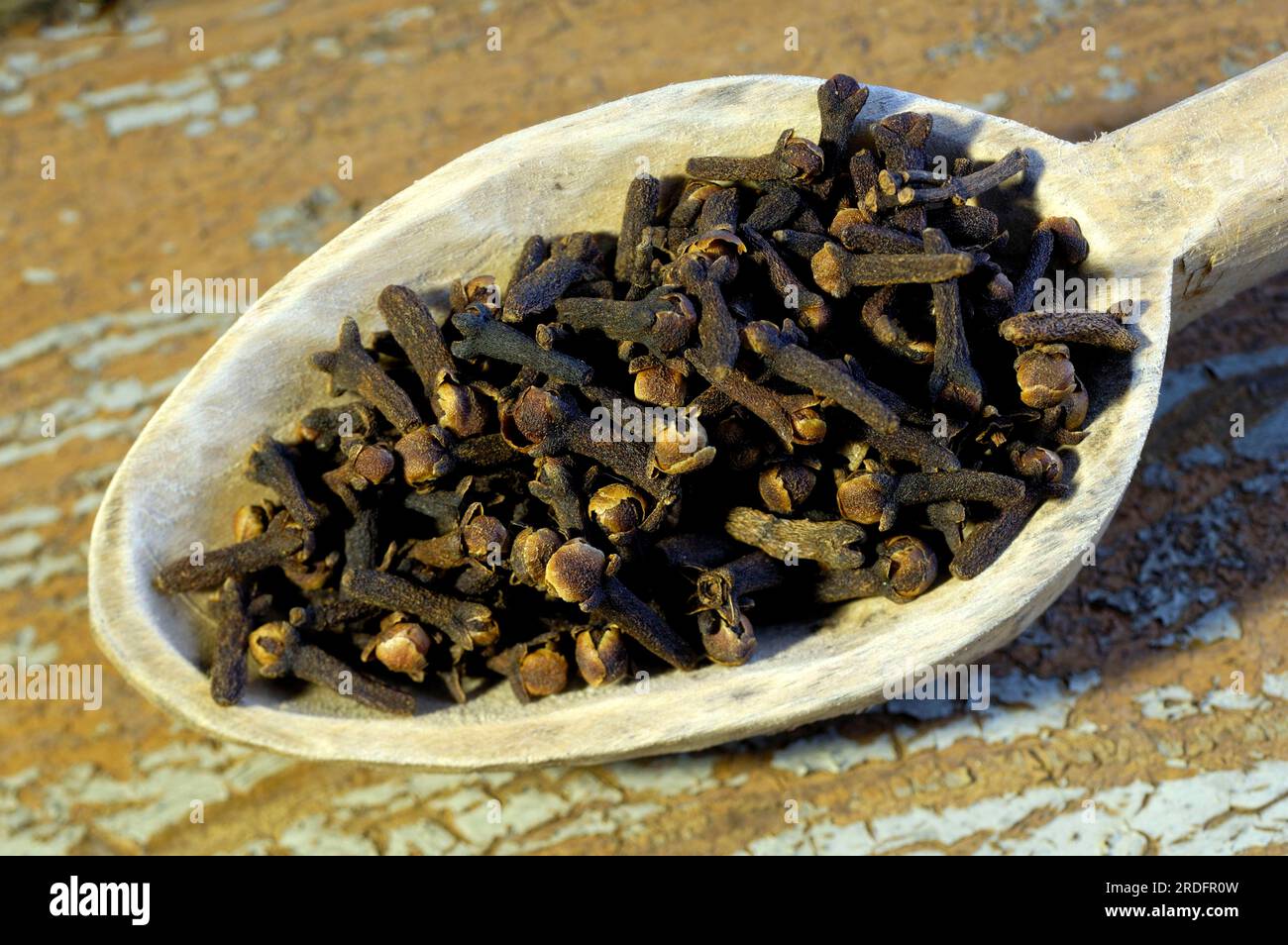 Cloves (Syzygium aromaticum), Clove, Clove, Cloves Stock Photo - Alamy