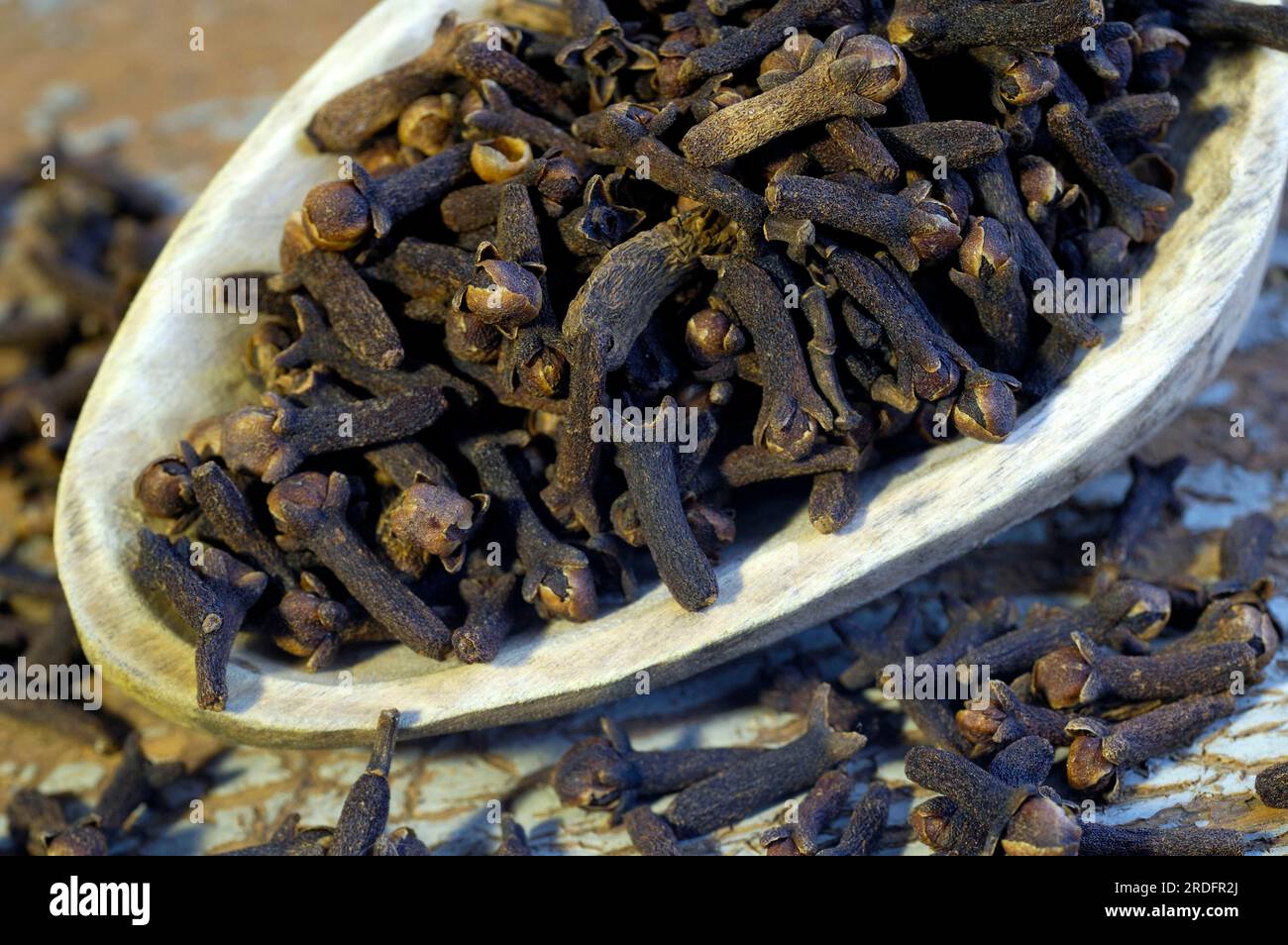 Cloves (Syzygium aromaticum), Clove, Clove, Cloves Stock Photo - Alamy