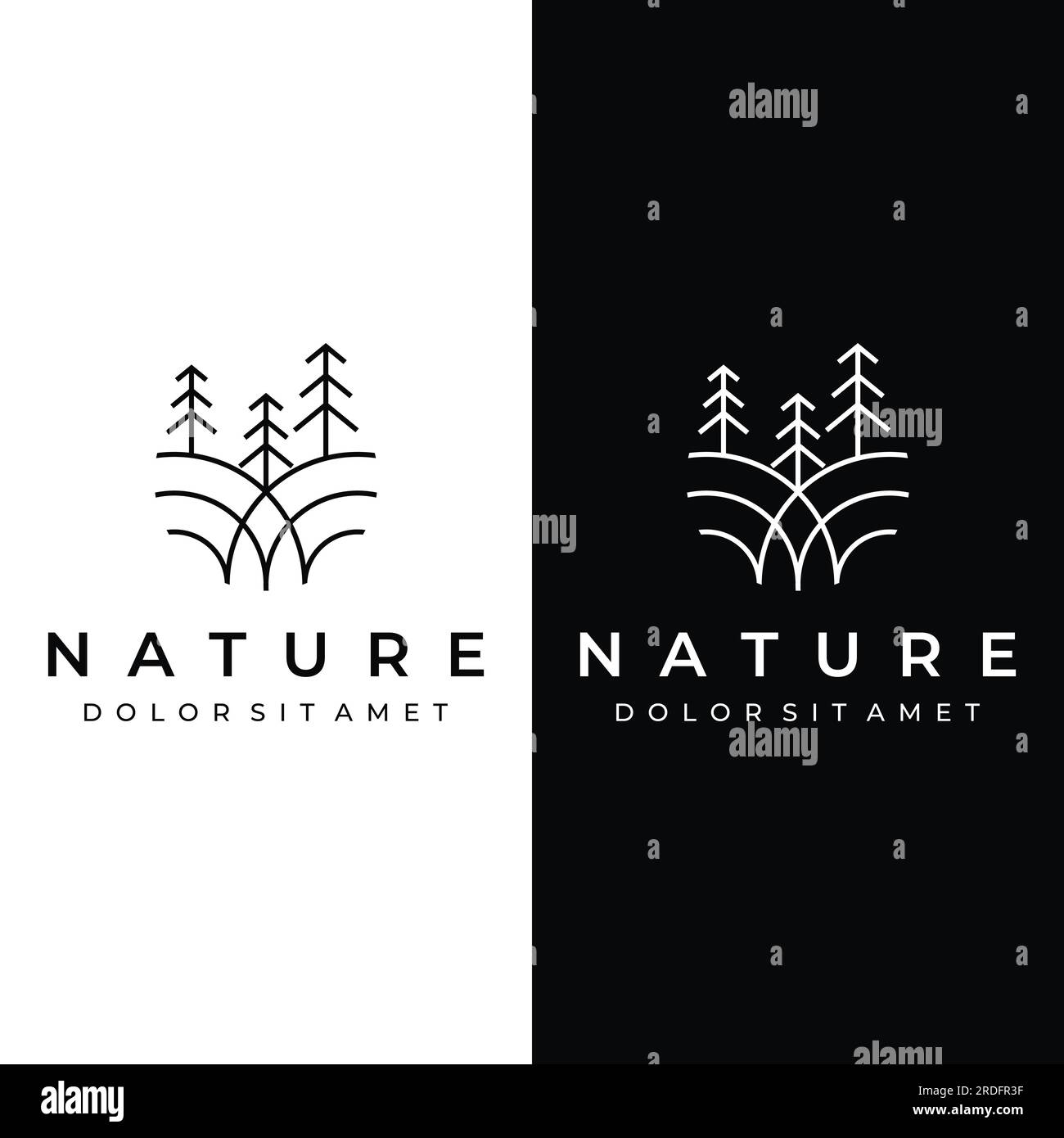 Creative abstract logo of pine trees and pine forest isolated ...
