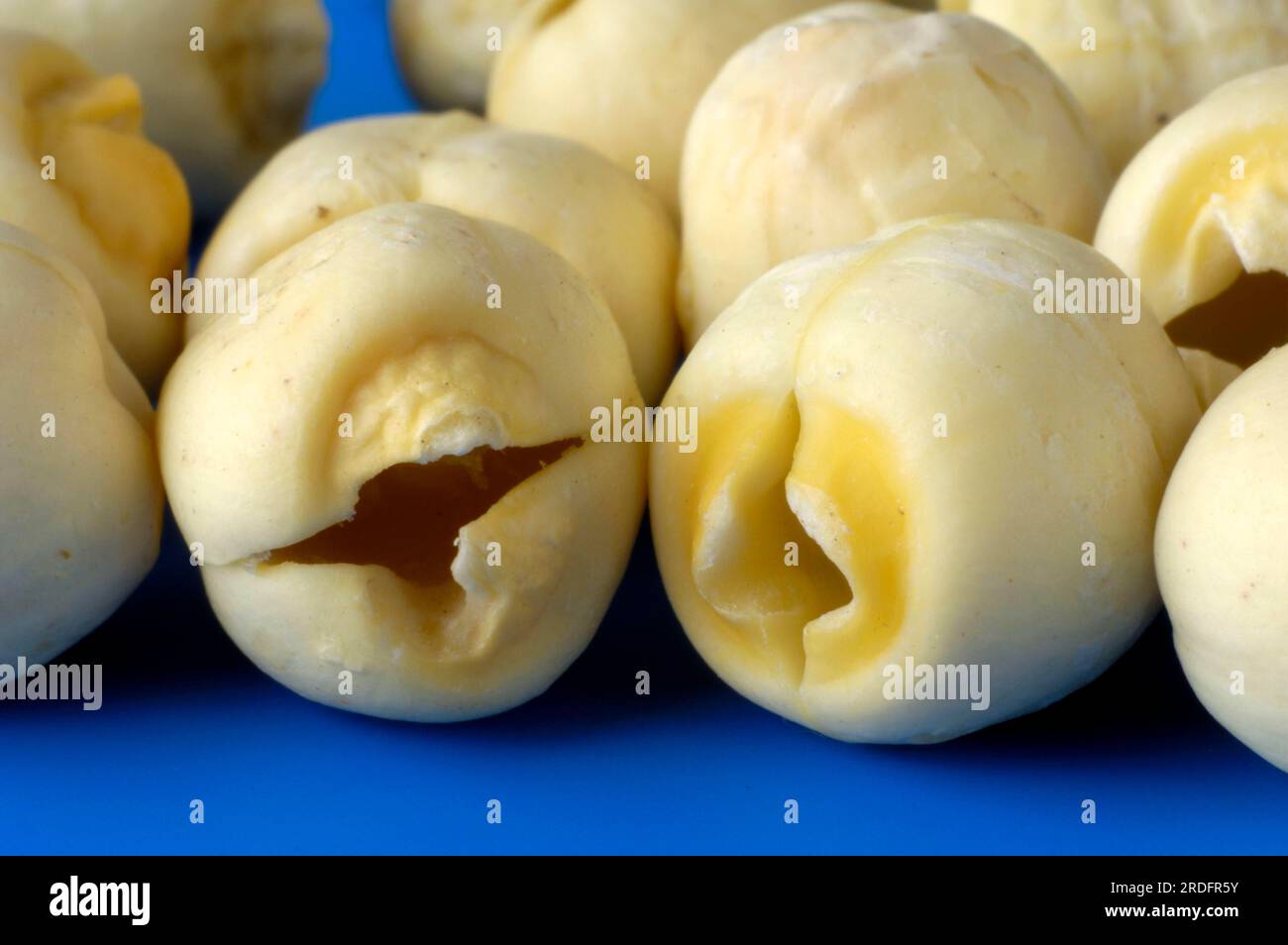 Indian (lotus) lotus flower, seeds, Indian flower (Nelumbo nucifera ...