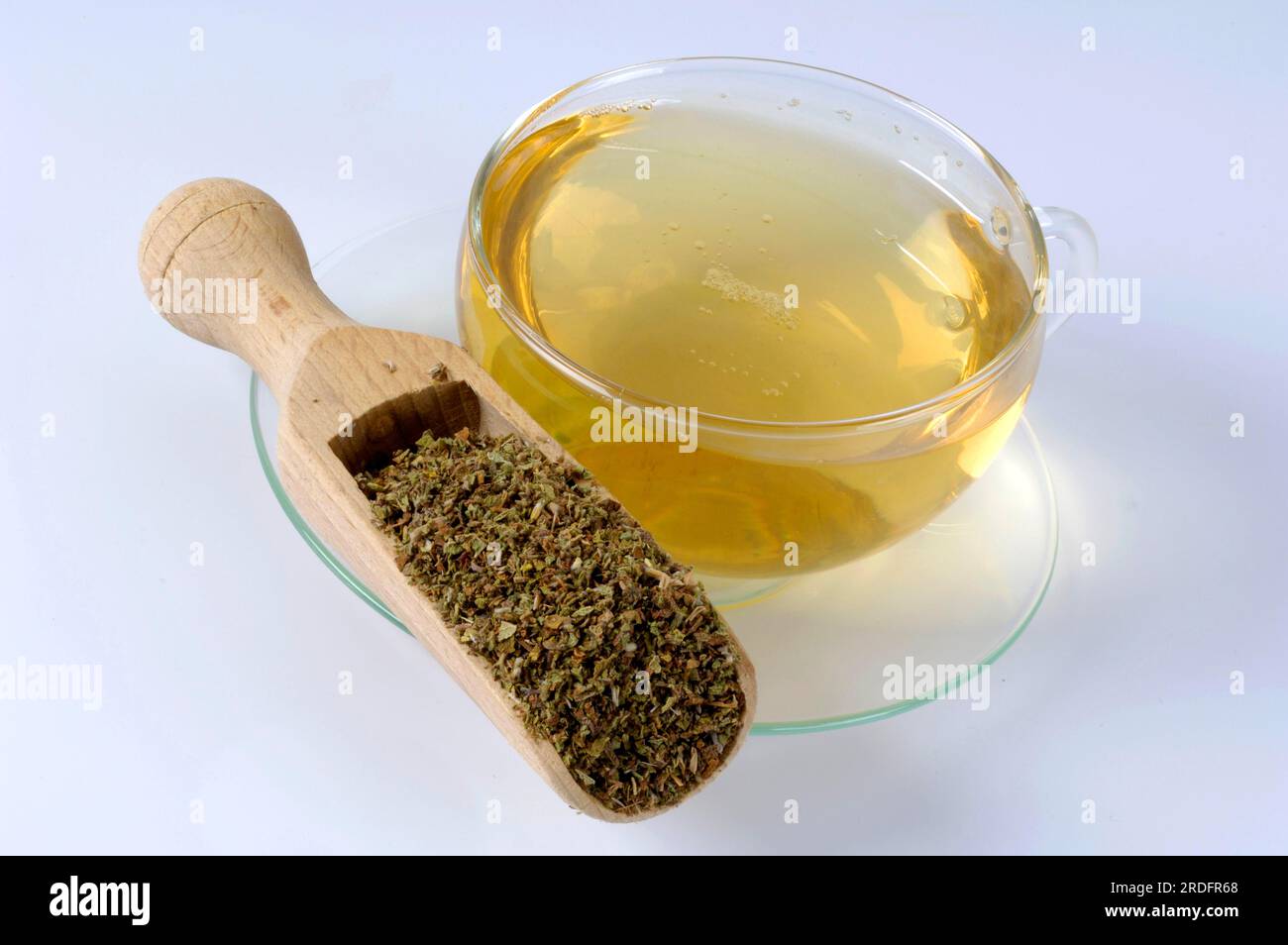 Cup of Cistus Tea, Grey-hair Cistus, dried (Cistus incanus tauricus ...