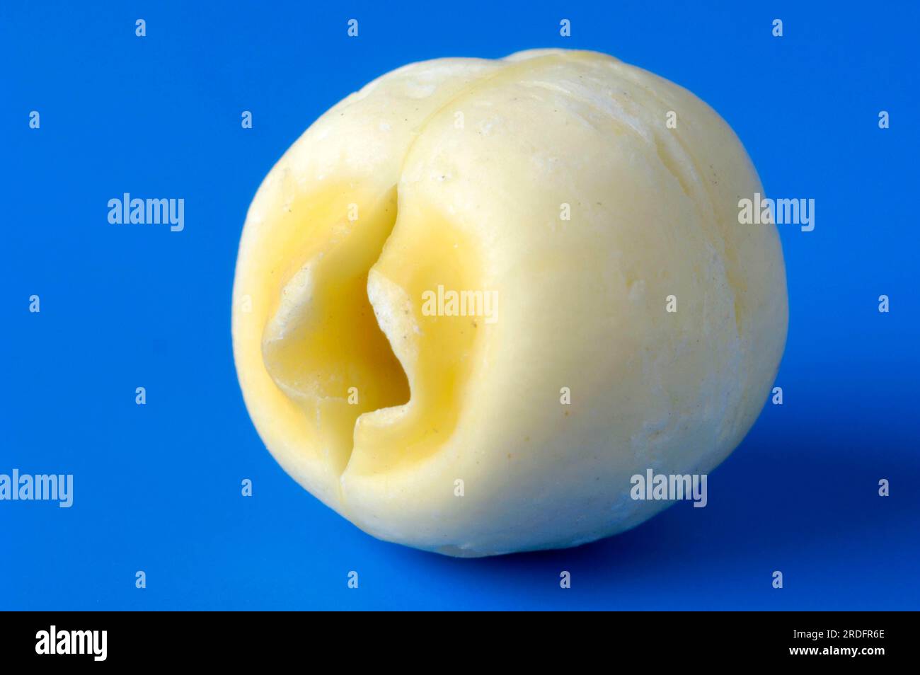 Indian (lotus) lotus flower, seeds, Indian flower (Nelumbo nucifera ...