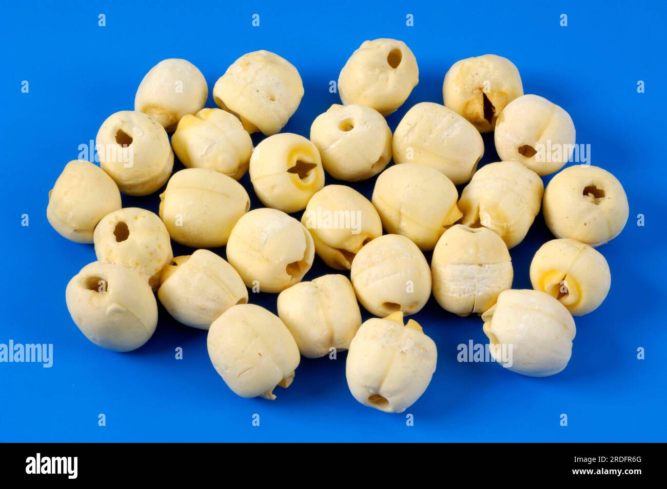 Indian (lotus) lotus flower, seeds, Indian flower (Nelumbo nucifera ...