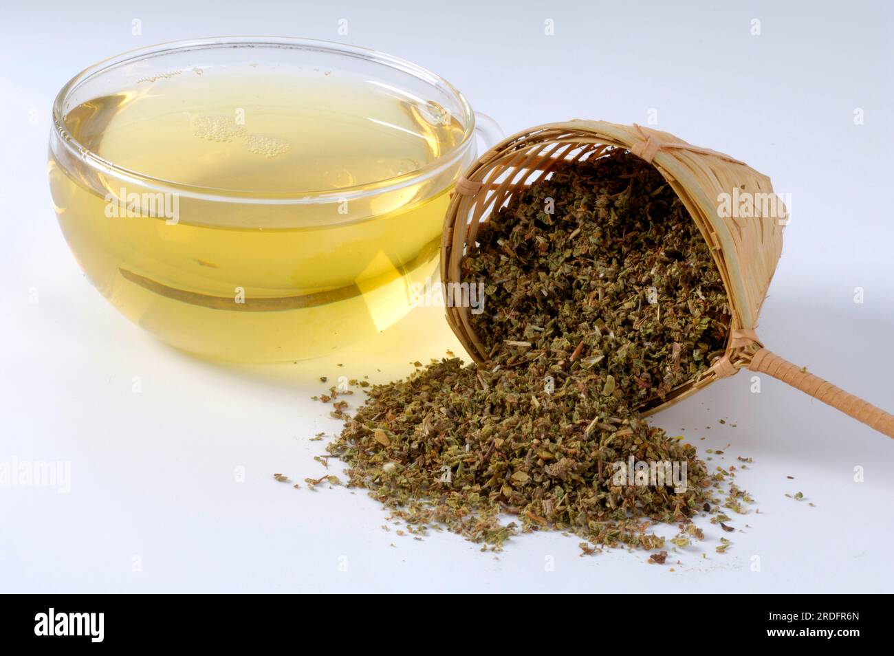 Cup of Cistus Tea, Grey-hair Cistus, dried (Cistus incanus tauricus ...