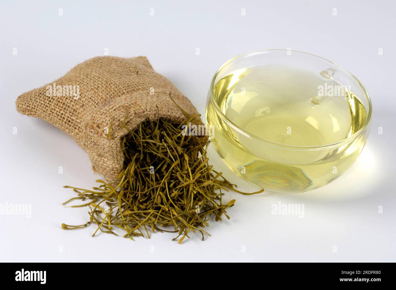 Cup of Jin Yin Hua tea (Lonicera caprifolium) (Lonicera japonica), goat ...