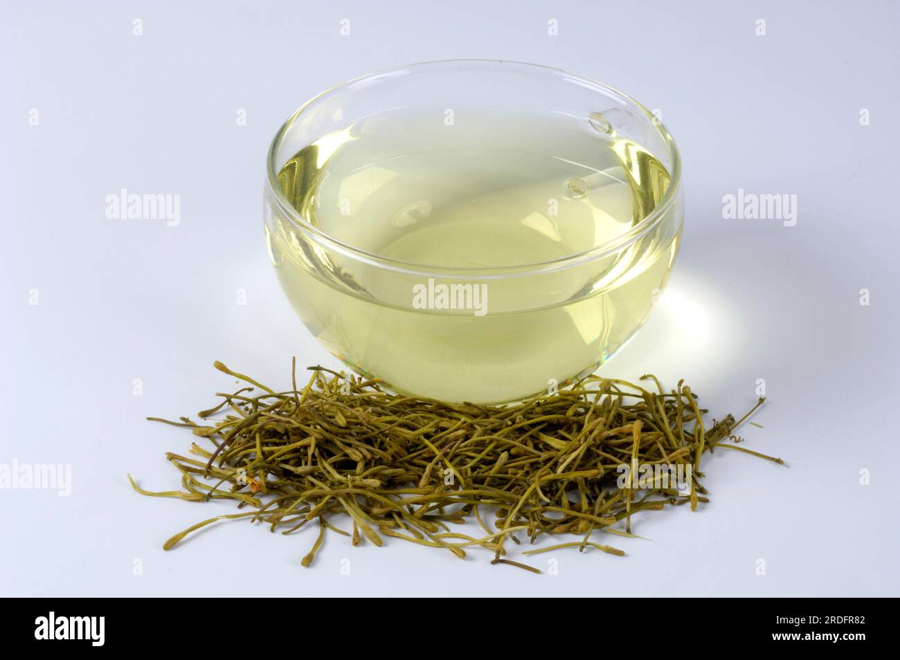 Cup of Jin Yin Hua tea (Lonicera caprifolium) (Lonicera japonica), goat ...