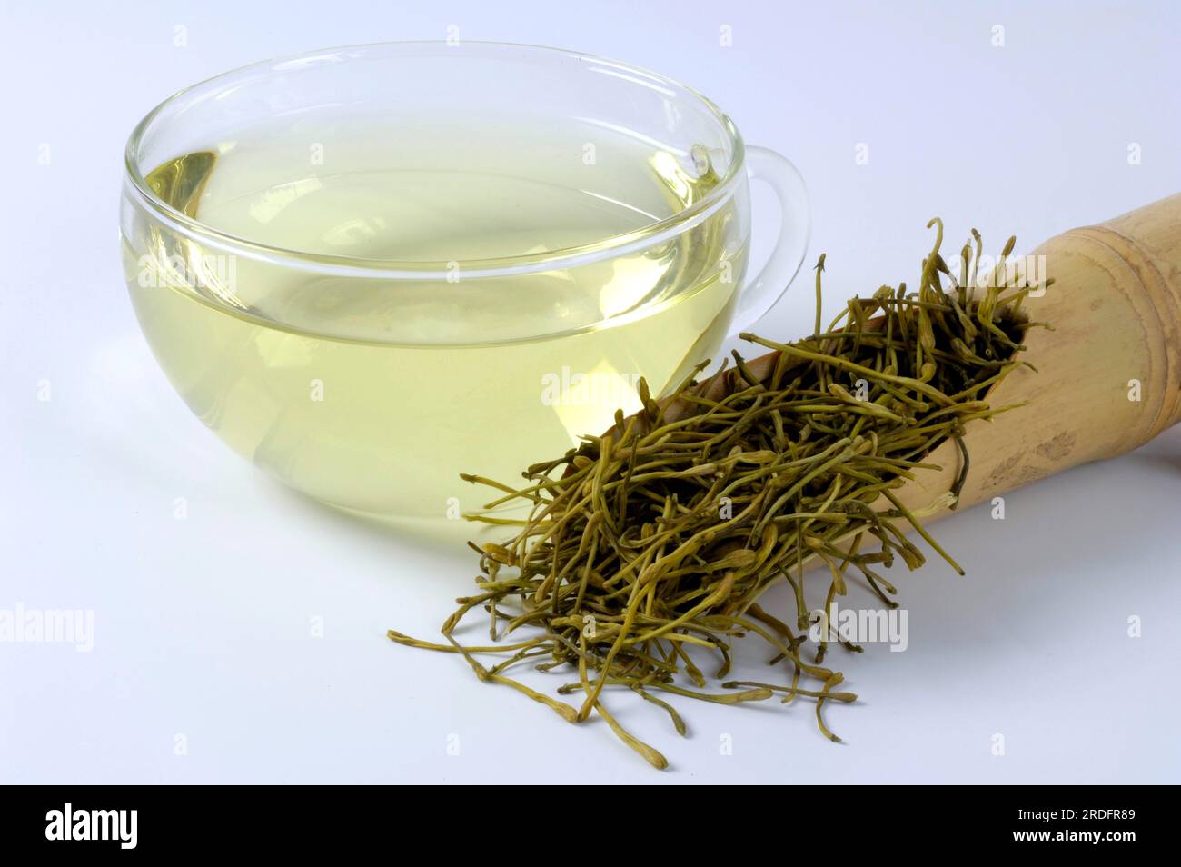 Cup of Jin Yin Hua tea (Lonicera caprifolium) (Lonicera japonica), goat ...