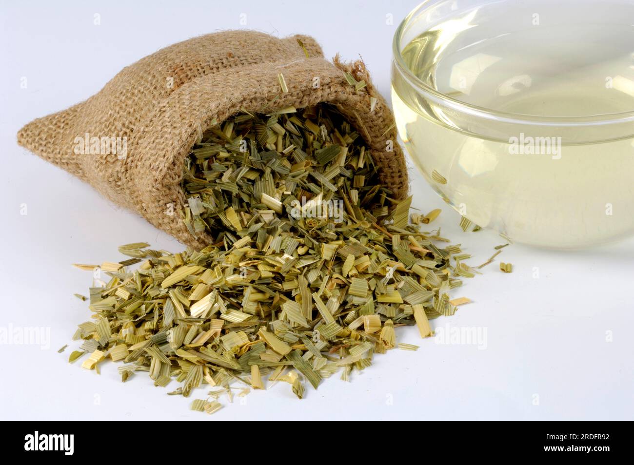 Oat straw tea (Avena sativa), oat straw Stock Photo - Alamy