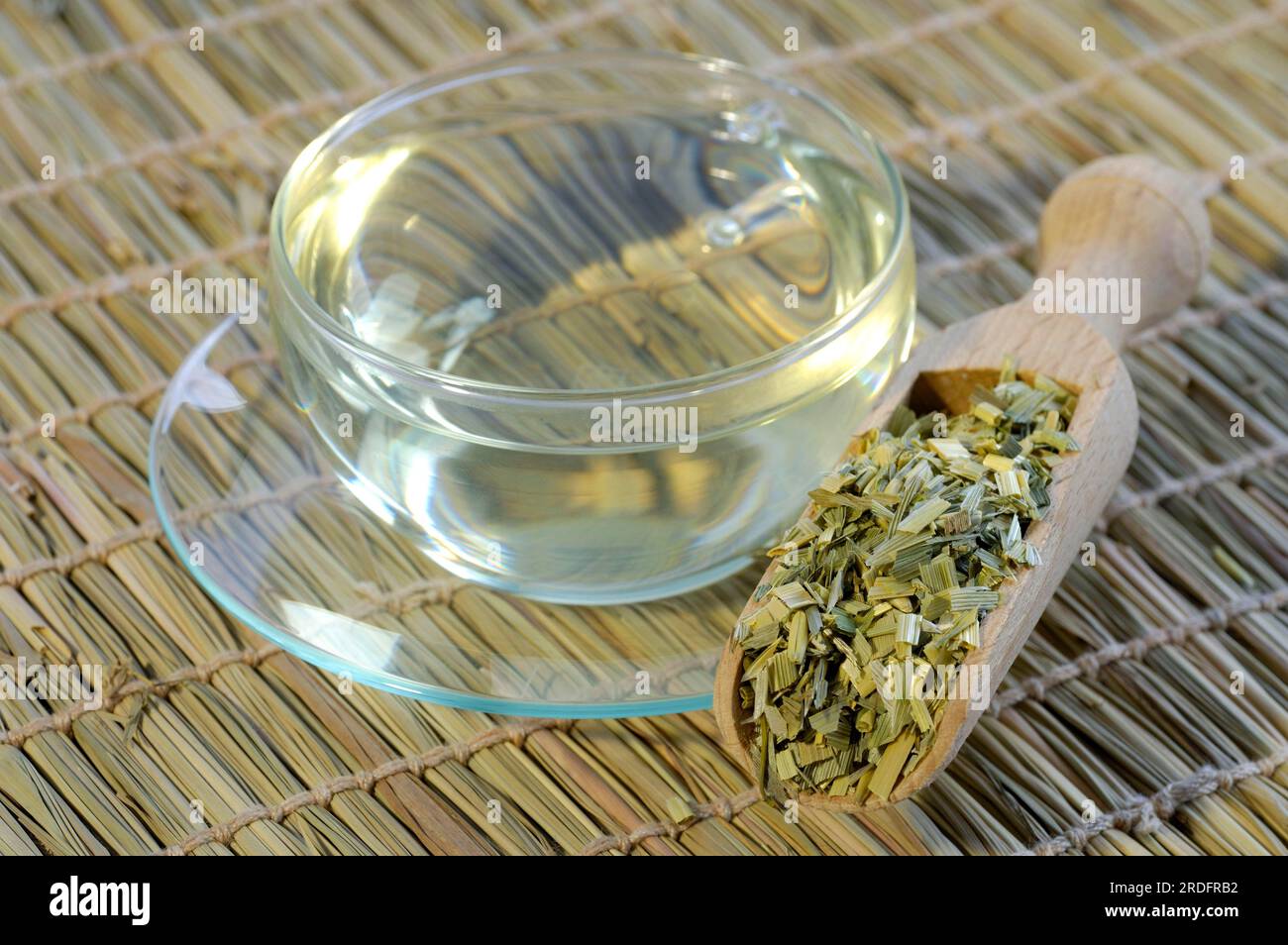 Oat straw tea (Avena sativa), oat straw Stock Photo - Alamy