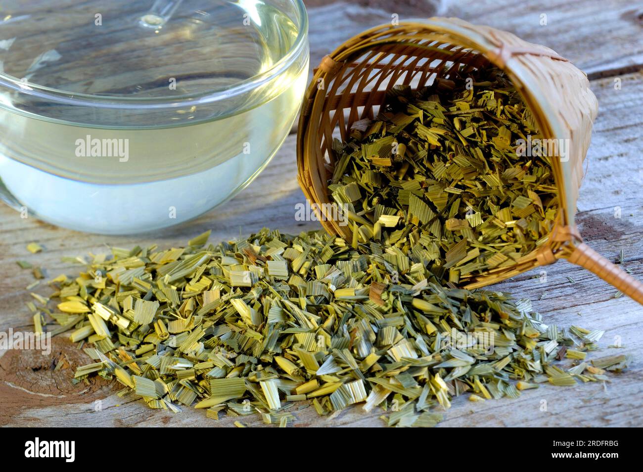Oat straw tea (Avena sativa), oat straw Stock Photo - Alamy
