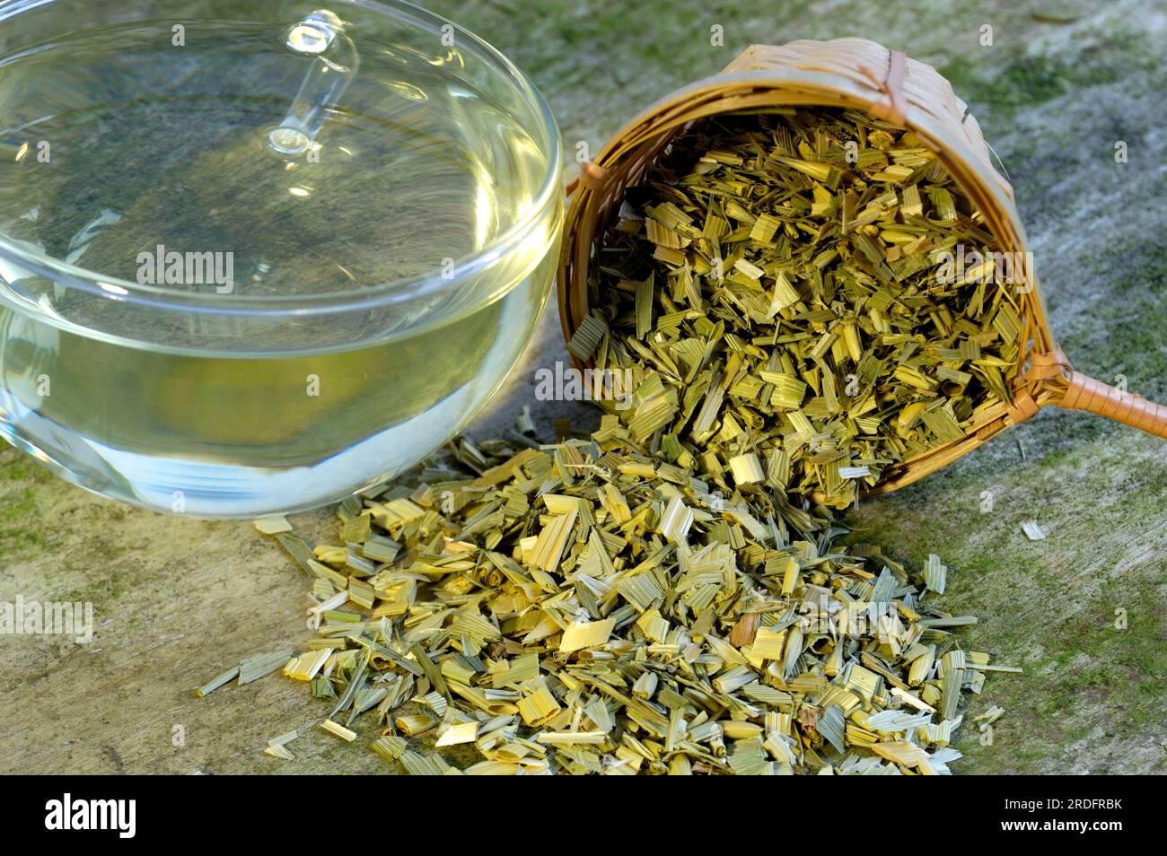 Oat straw tea (Avena sativa), oat straw Stock Photo - Alamy