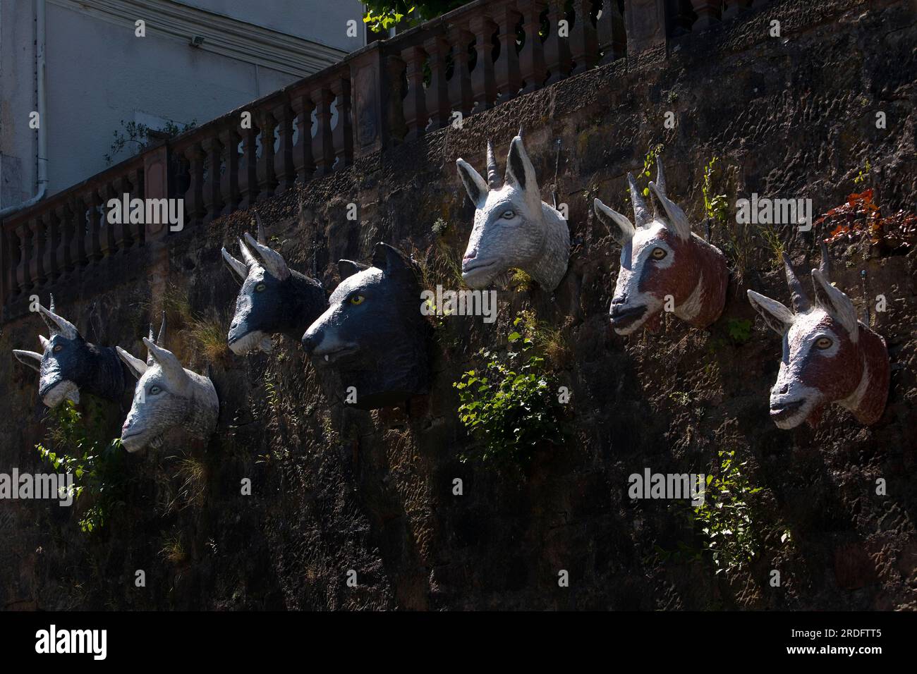 The wolf and the seven young goats hi-res stock photography and images ...