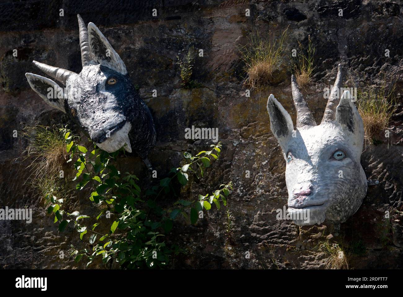 The wolf and the seven young goats hi-res stock photography and images ...