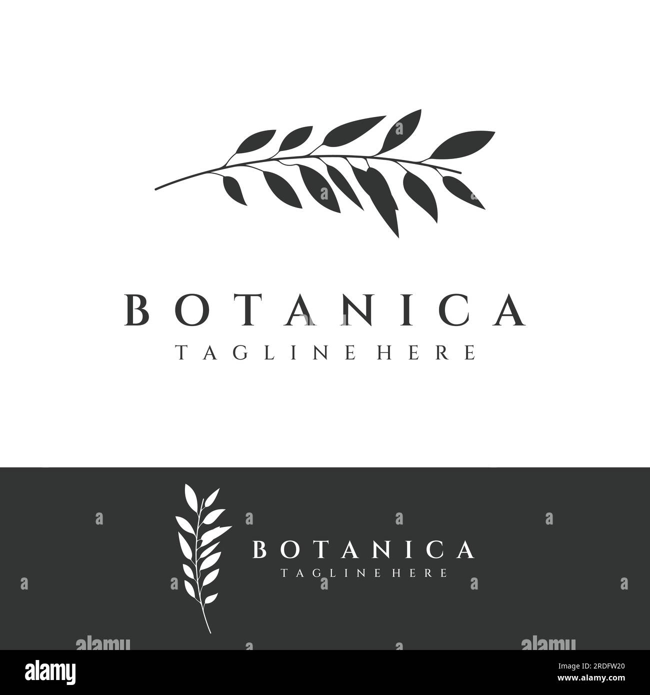 Natural botanical logo organic design with leaves, flowers, stems. With ...