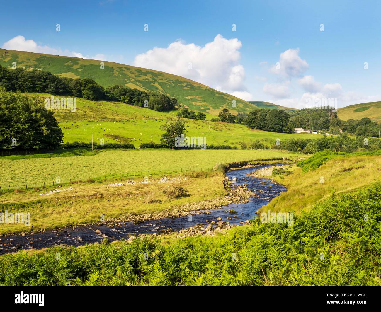 Langden Brook above Dunsop Bridge in Bowland, Lancashire, UK Stock ...