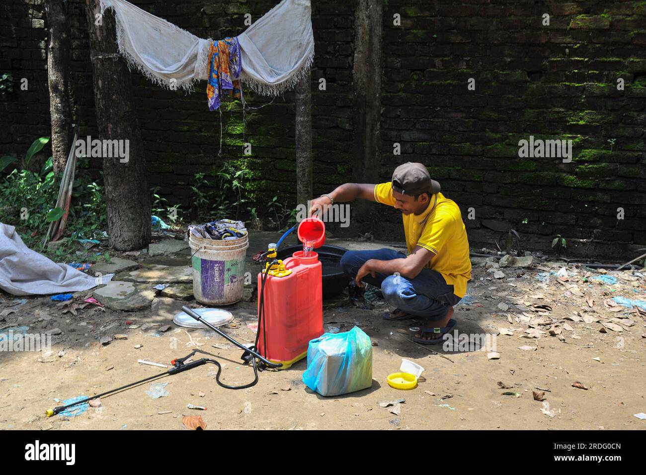 Dengue checks hi-res stock photography and images - Alamy