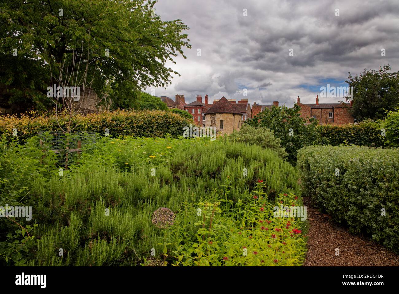 The Edible Wood, York Stock Photo - Alamy