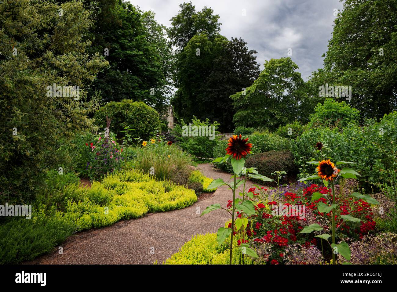 The Edible Wood, York Stock Photo - Alamy