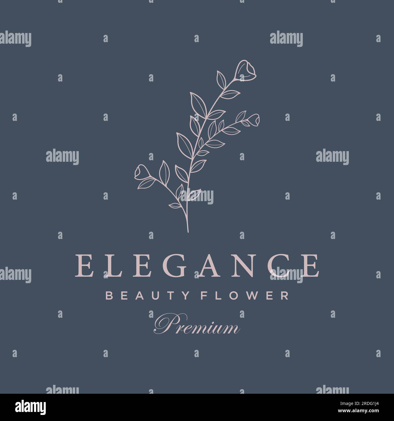 Hand drawn natural organic botanical feminine delicate logo for florist ...