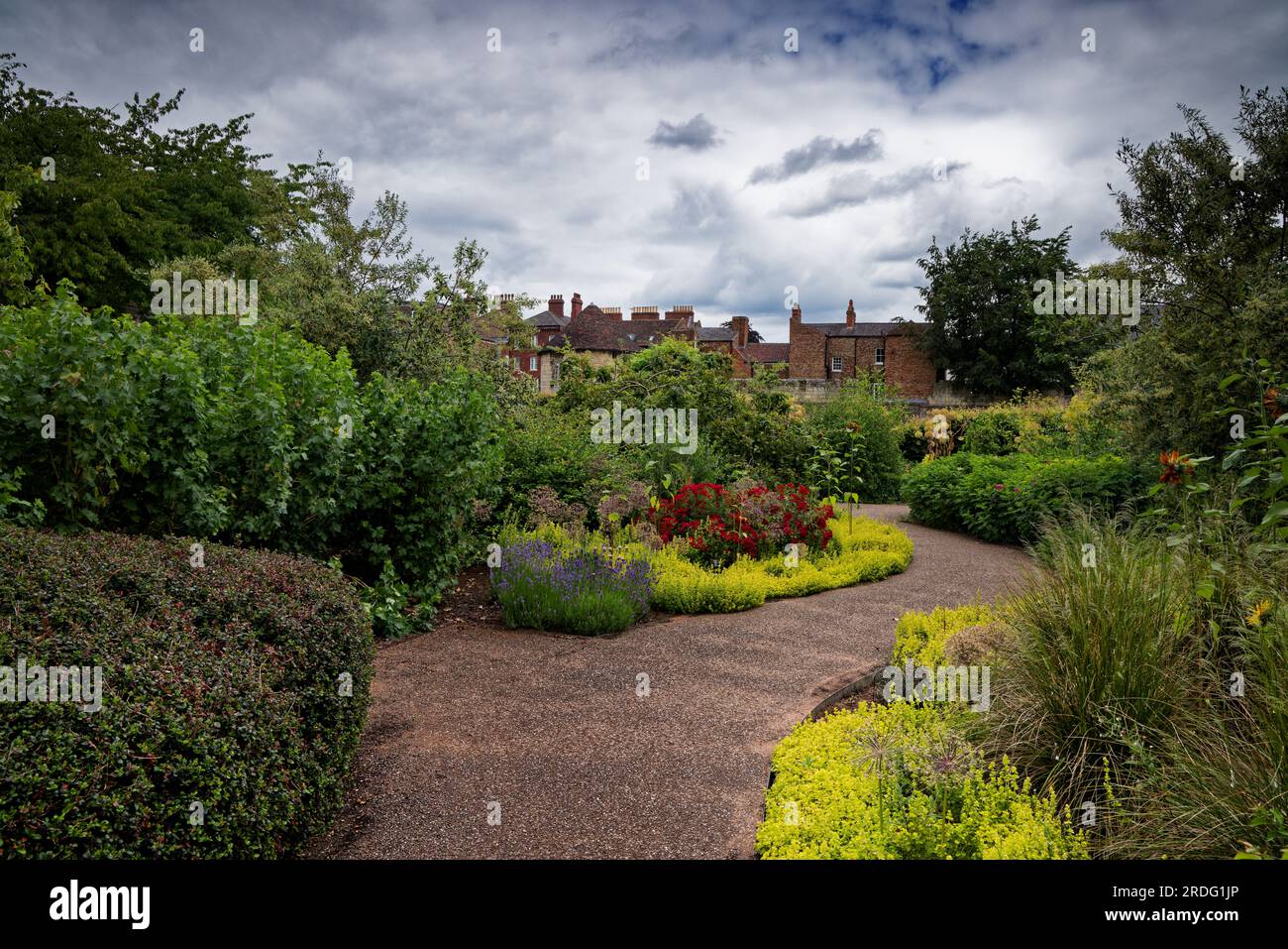 The Edible Wood, York Stock Photo - Alamy