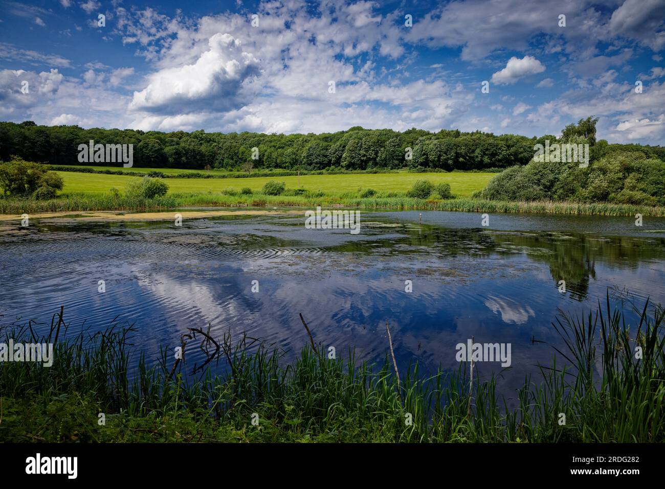 Sprotbrough Flash Nature Reserve Stock Photo - Alamy