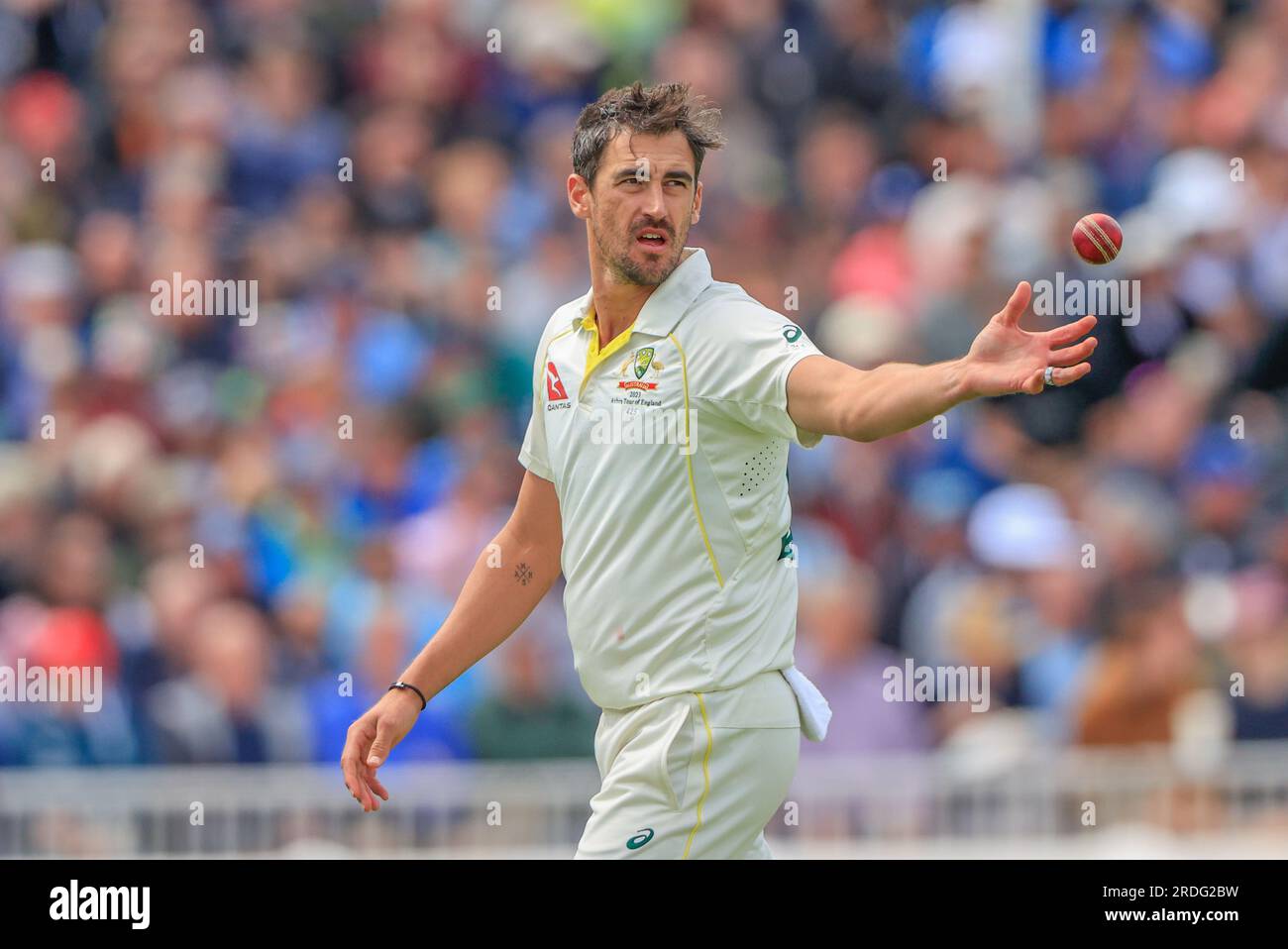 Mitchell Starc of Australia in action during the LV= Insurance Ashes ...