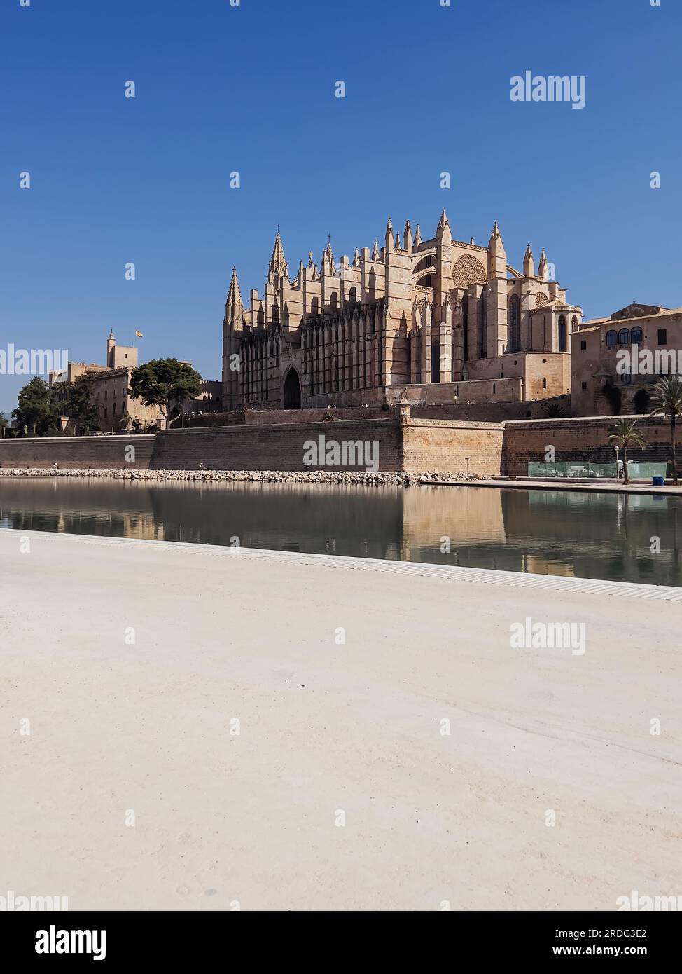 Mallorca Cathedral in Spain, a captivating architectural gem steeped in ...