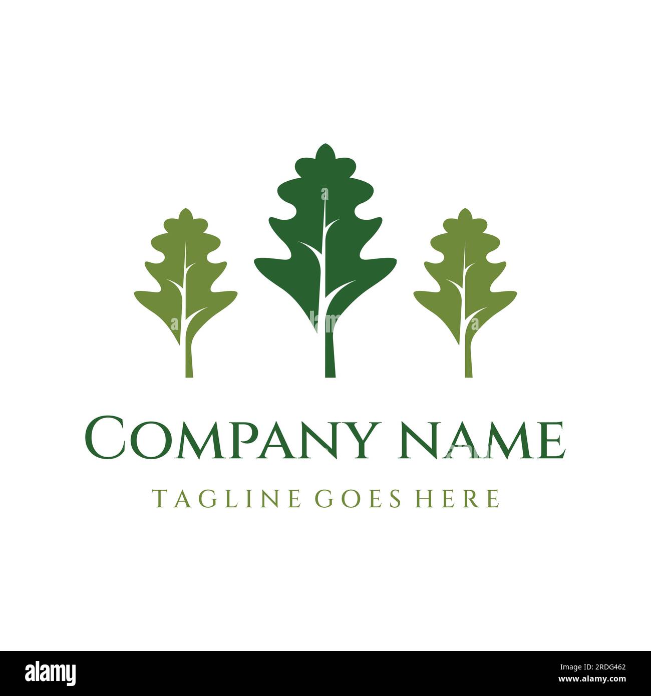 Autumn oak leaf logo and oak tree logo. With editing vector ...