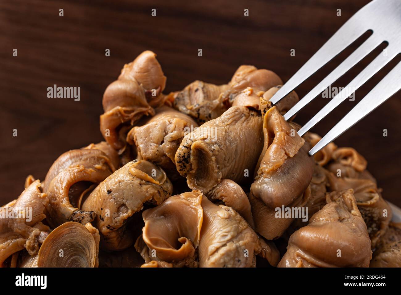 Edible Shellfish Seafood Trimmed Whelk Stock Photo - Alamy