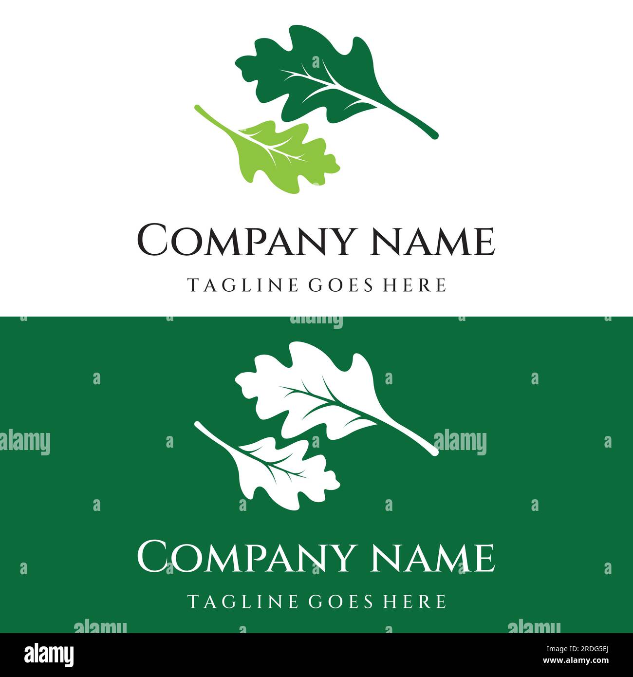 Oak Tree Leaves Vector