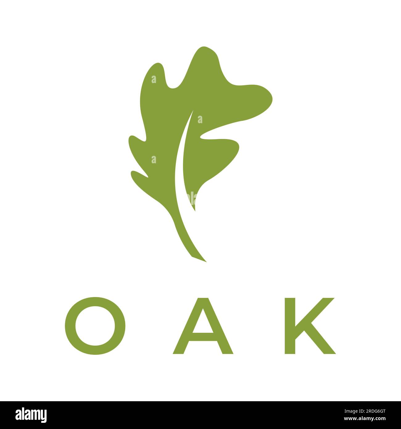Autumn oak leaf logo and oak tree logo. With editing vector ...