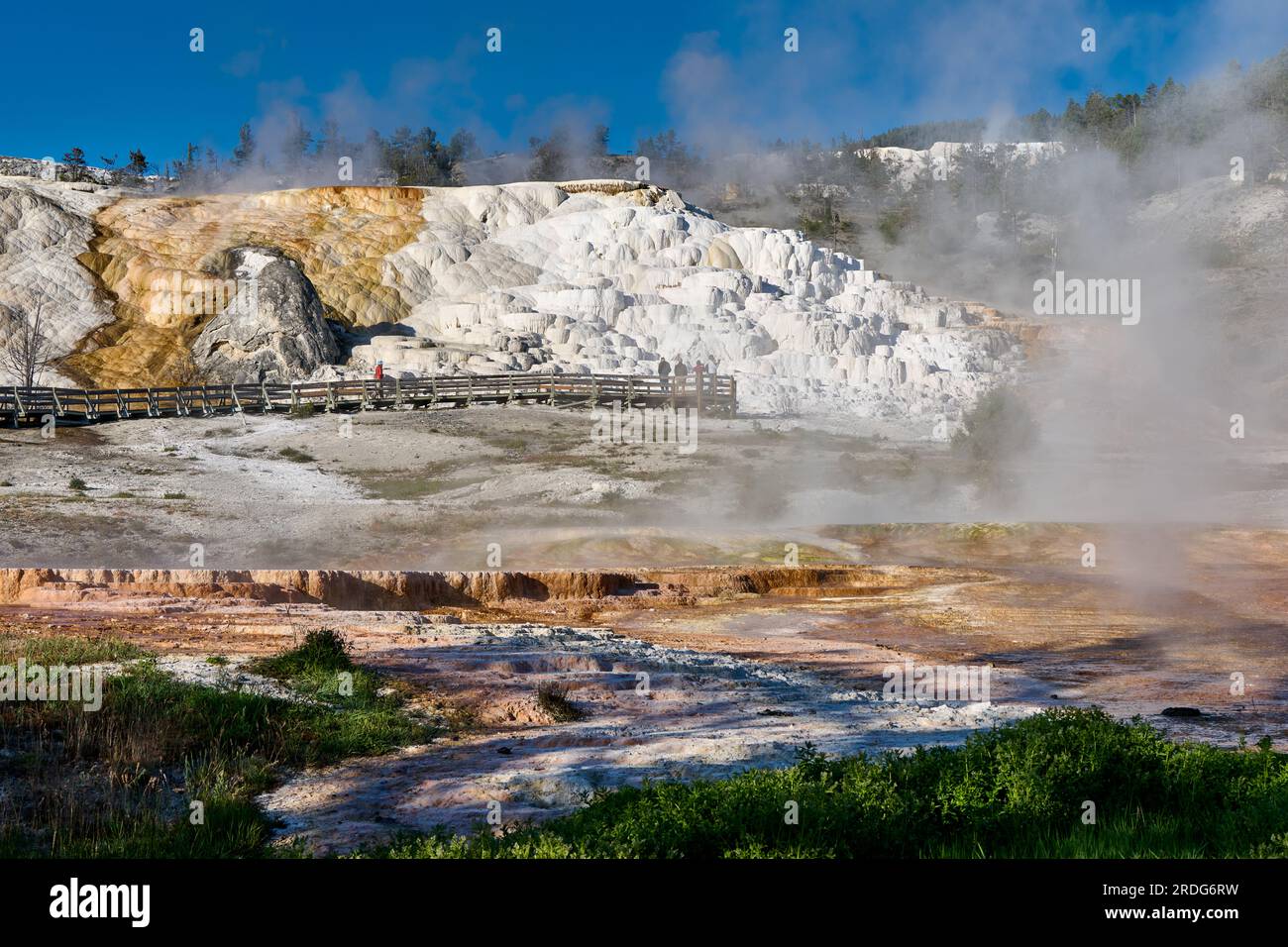 Palette Spring, Mammoth Hot Springs, Yellowstone National Park, Wyoming ...