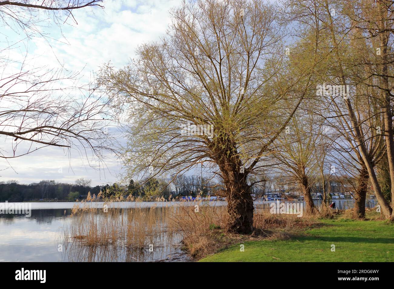 Panoramic view over Havel river landscape in Caputh, Brandenburg in ...