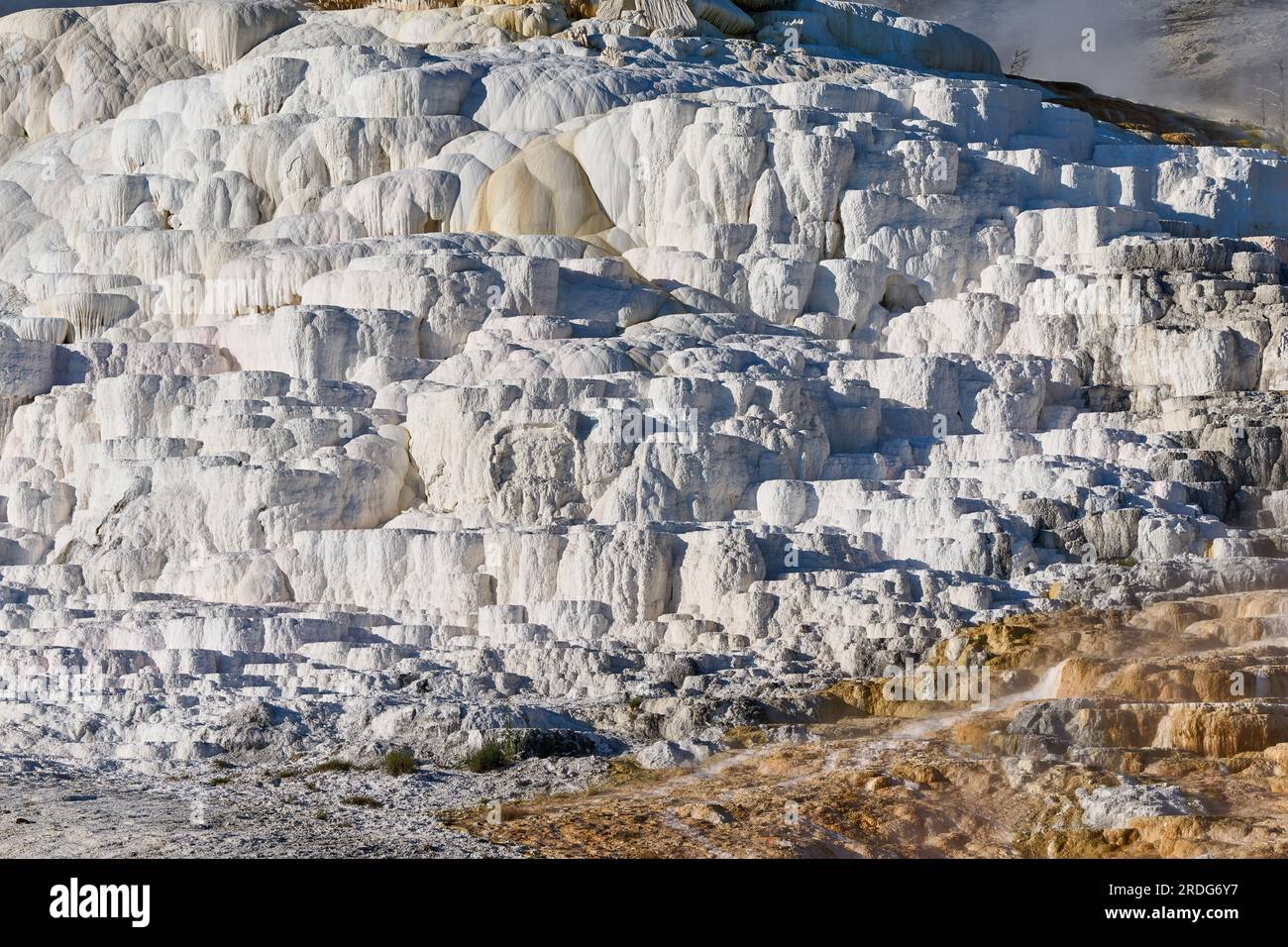 Palette Spring, Mammoth Hot Springs, Yellowstone National Park, Wyoming ...