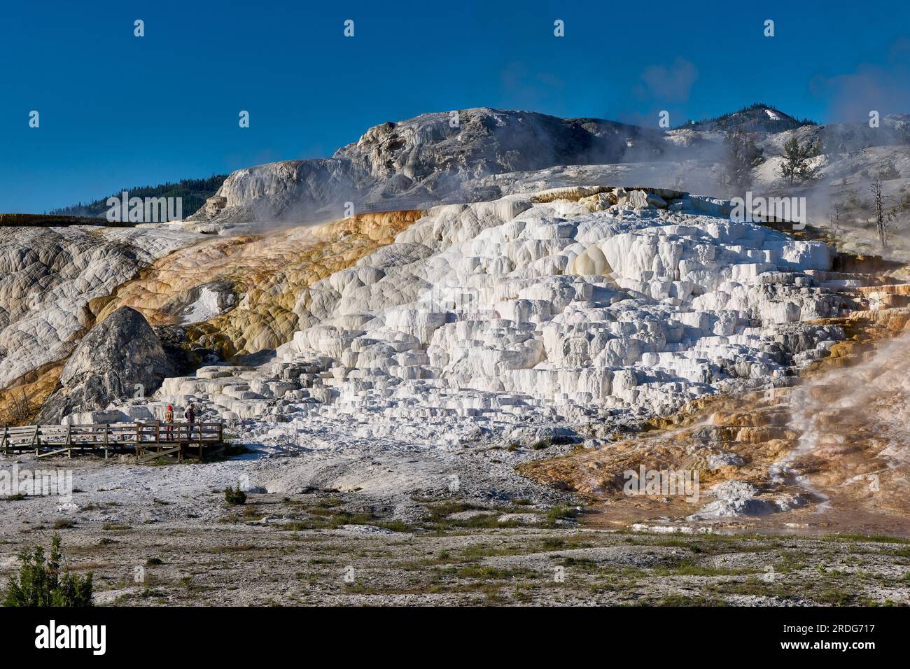 Palette Spring, Mammoth Hot Springs, Yellowstone National Park, Wyoming ...