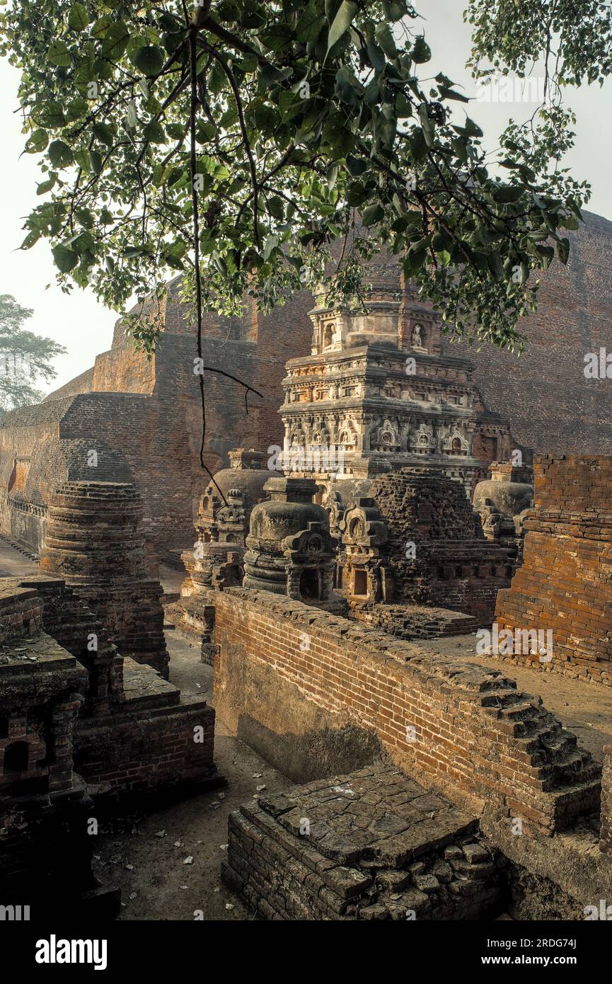 12 23 2014 Vintage ruins of Nalanda Mahavihara Mahavihara,5th century ...