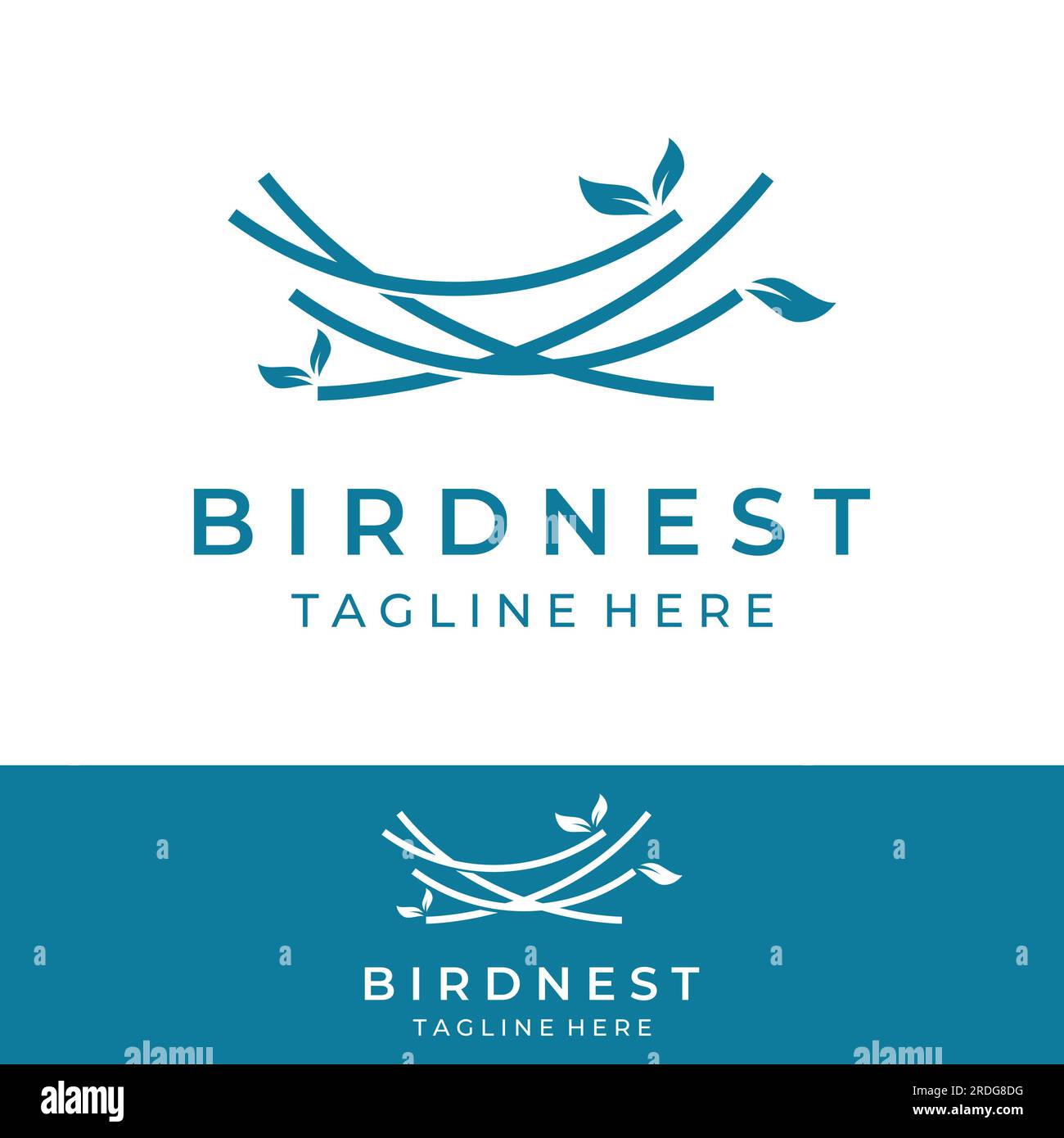 Bird Nest Logo Name