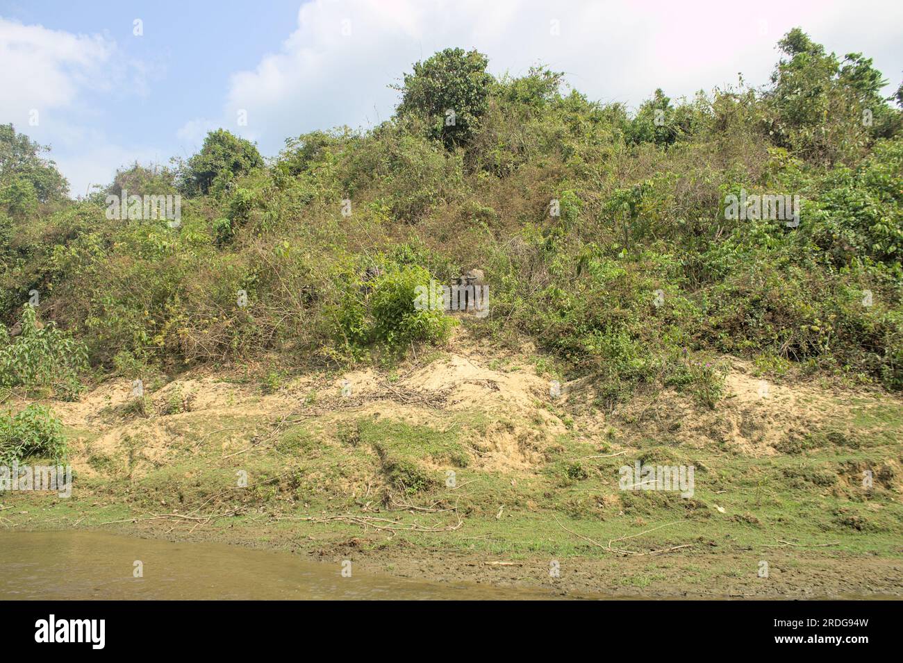 this is landscape of forest area nice hiking place of Ukhiya cox's ...