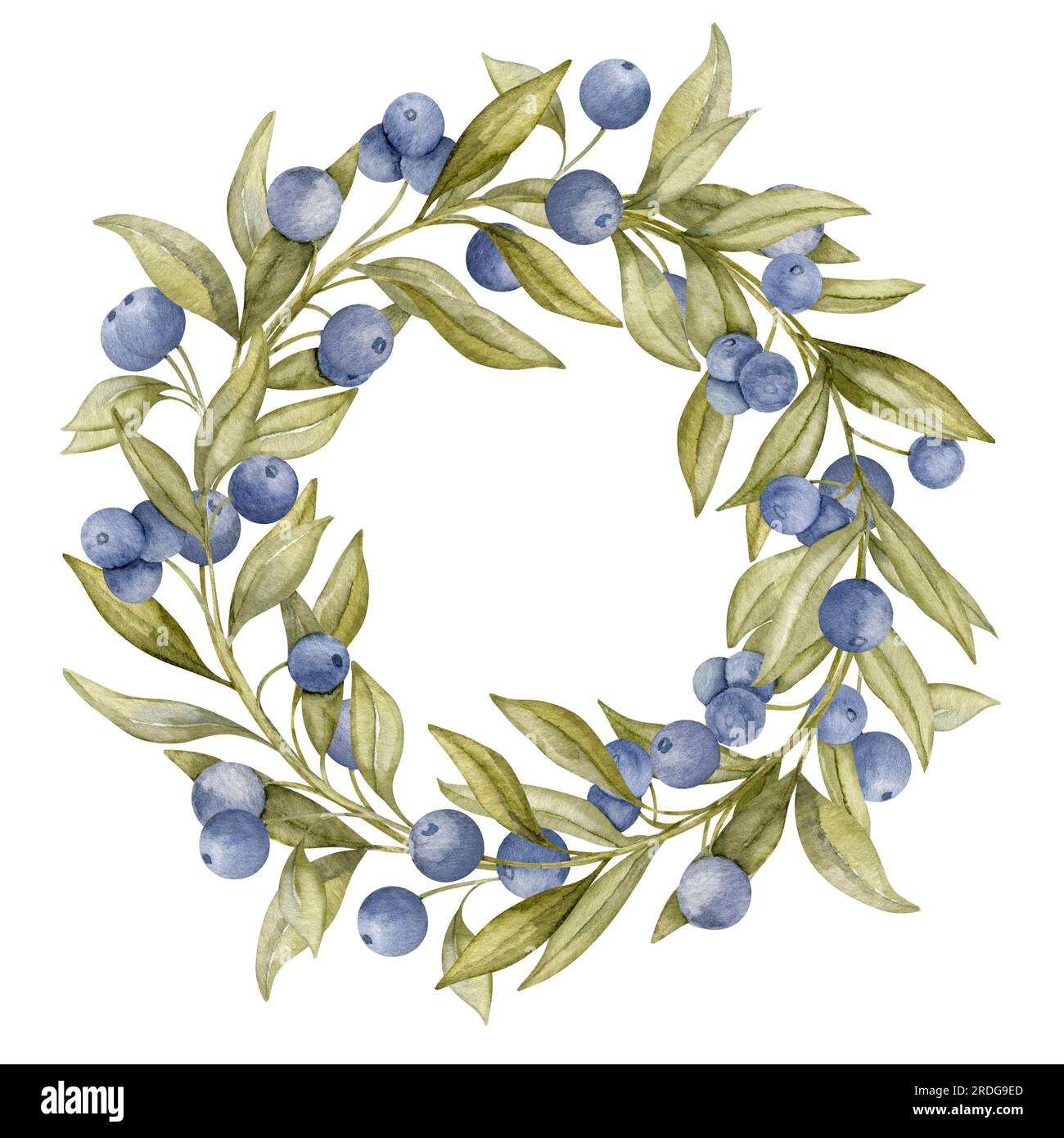 Blueberry Wreath. Hand drawn watercolor illustration of round Frame ...