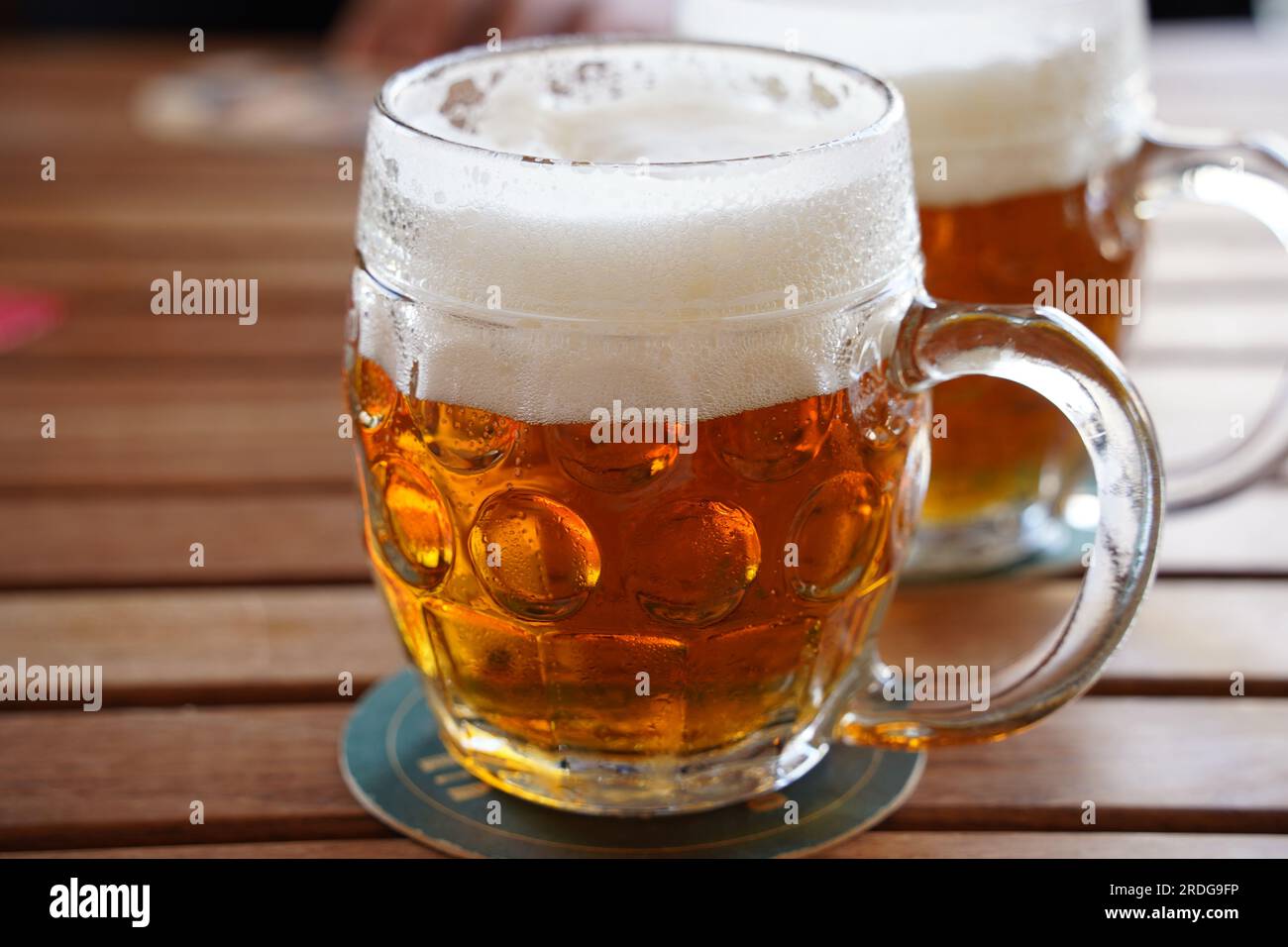 Czech-style Pilsner lager golden beer on table of bar pub restaurant in ...