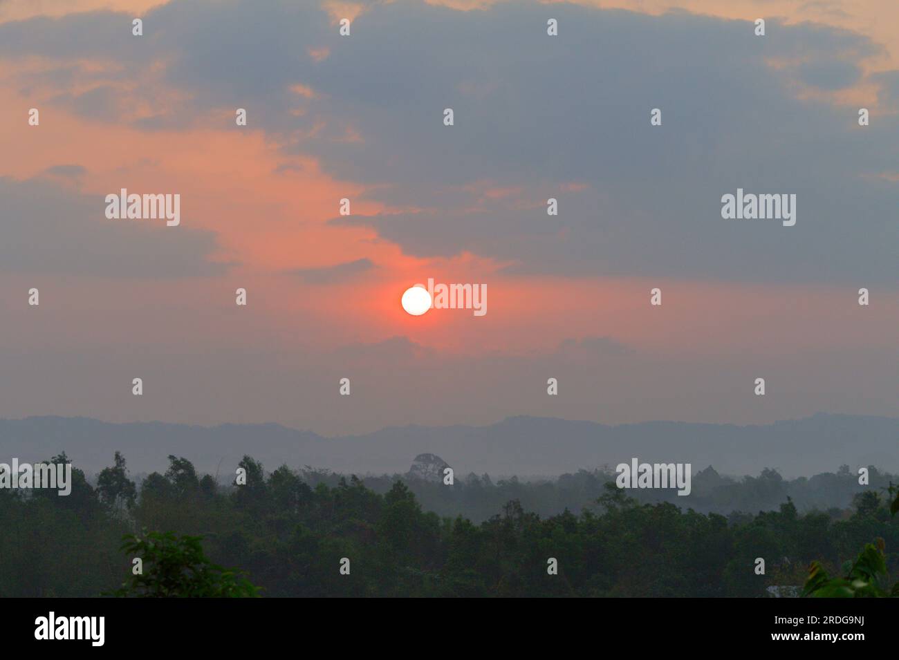 Sun rise forest hi-res stock photography and images - Alamy