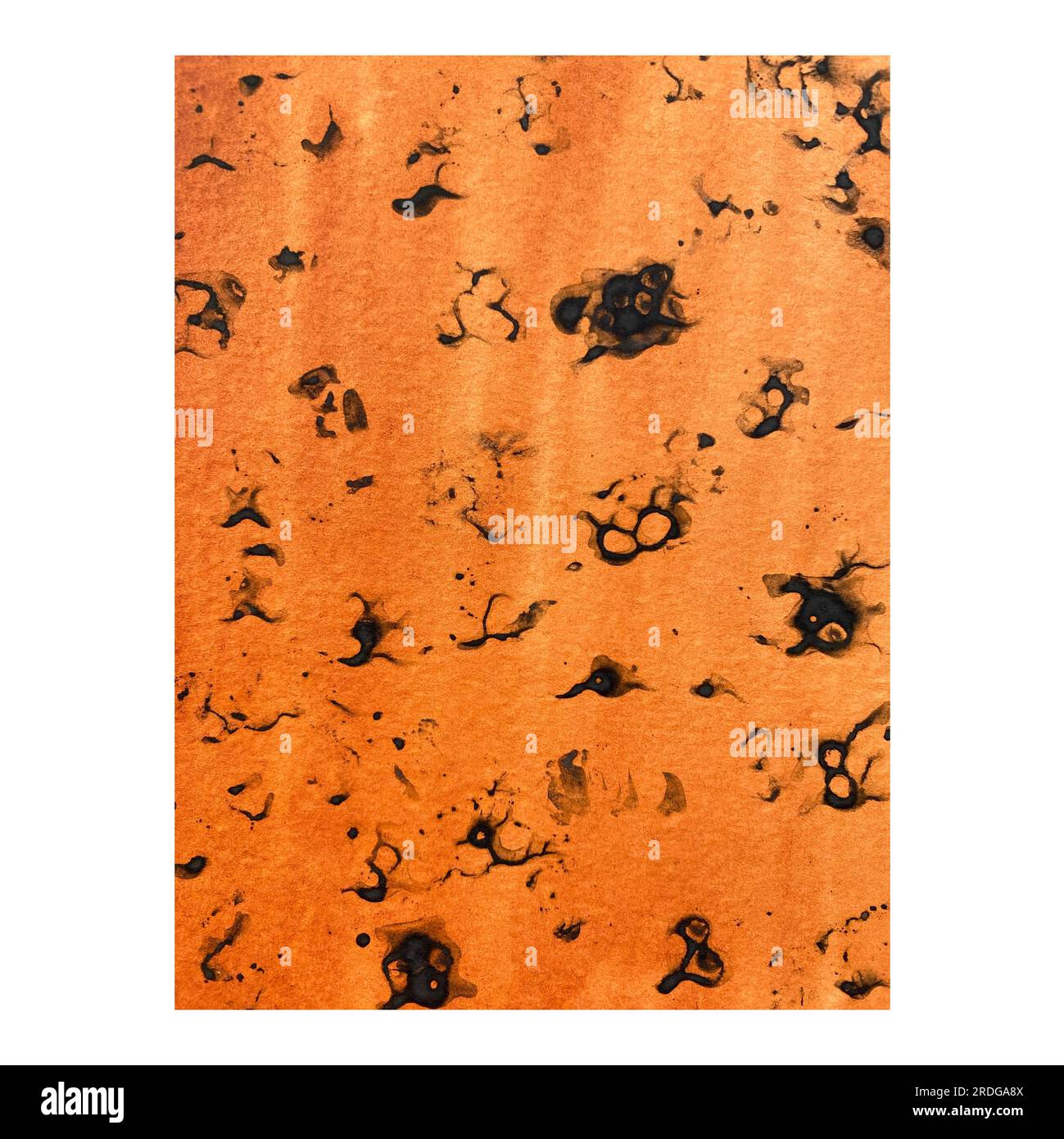 Orange scribble textured hand drawn paper sketch Stock Photo - Alamy