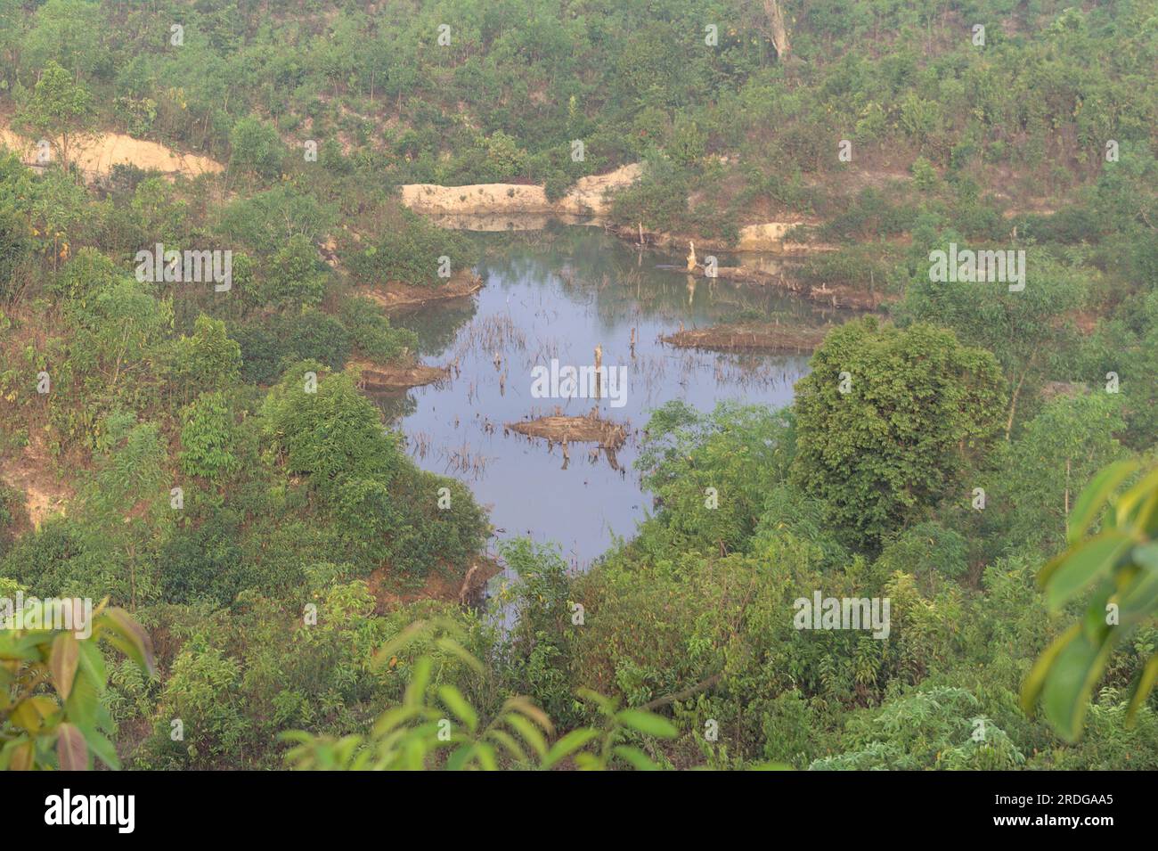 this is landscape of forest area nice hiking place of Ukhiya cox's ...