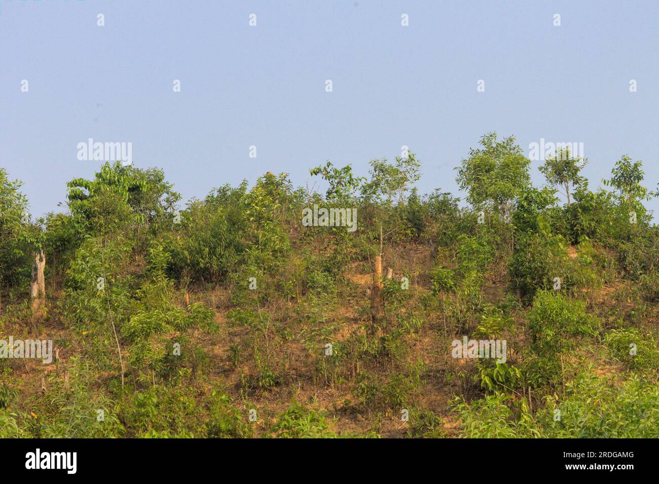 Ukhiya hi-res stock photography and images - Alamy
