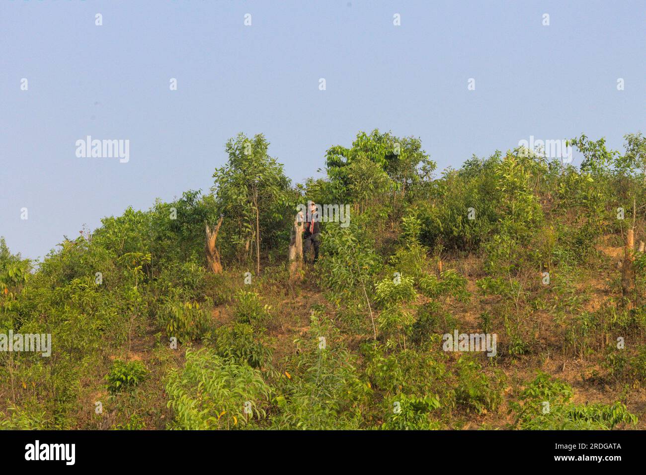 this is landscape of forest area nice hiking place of Ukhiya cox's ...