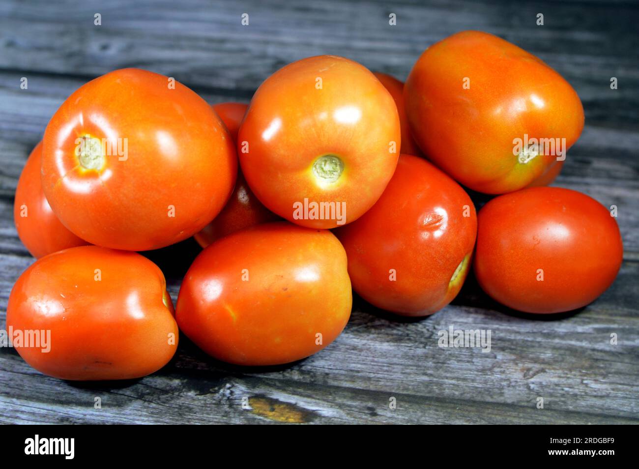 The Tomato, an edible berry of the plant Solanum lycopersicum, a ...