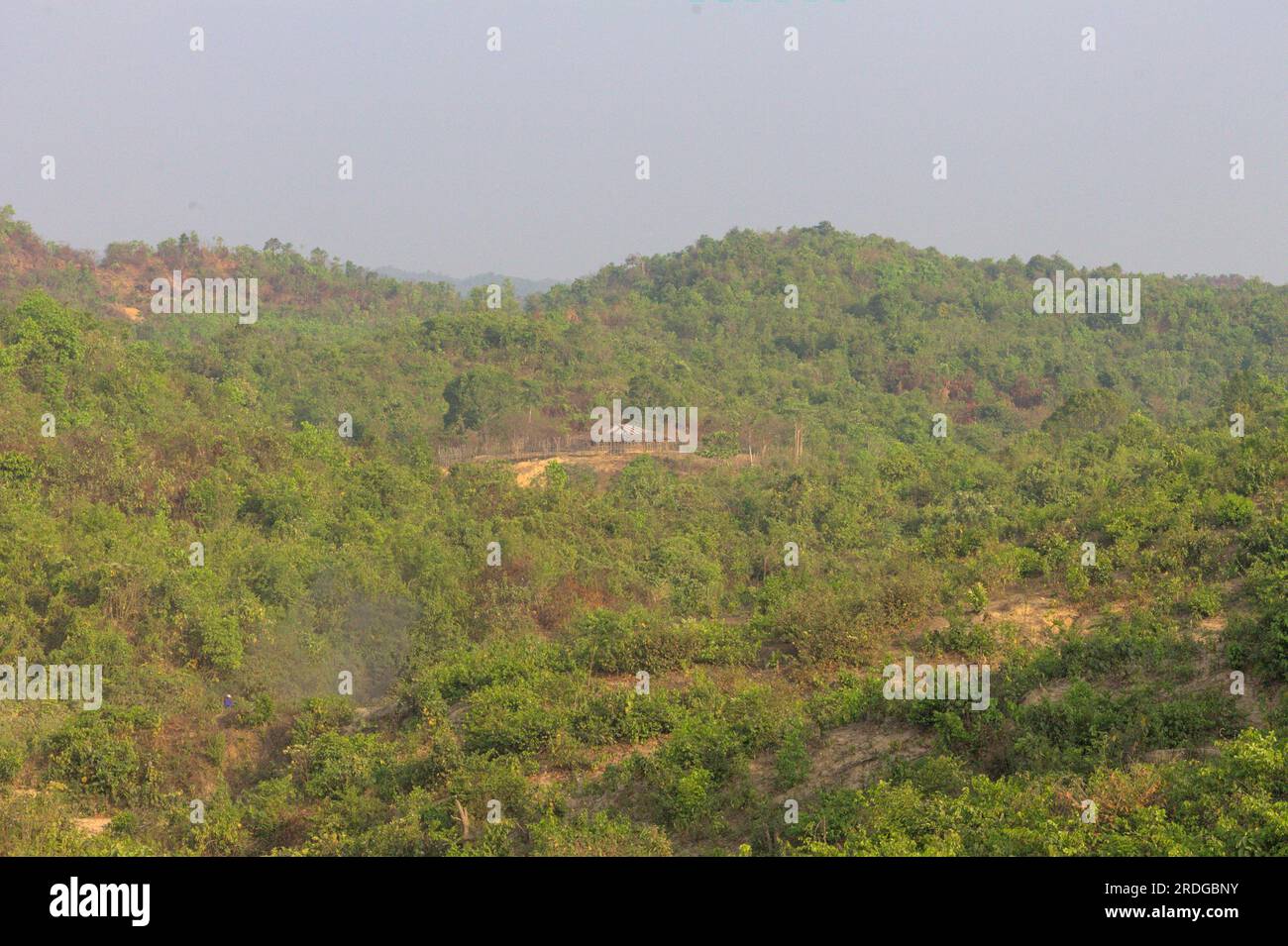 this is landscape of forest area nice hiking place of Ukhiya cox's ...