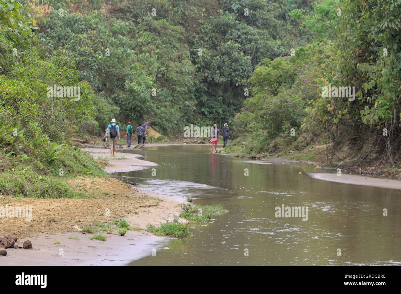 this is landscape of forest area nice hiking place of Ukhiya cox's ...