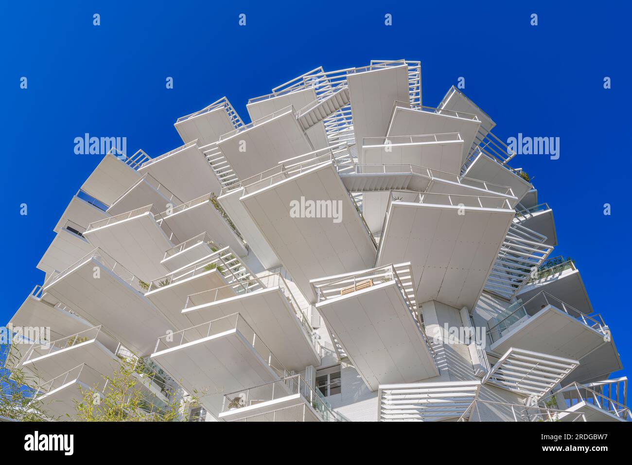 L'Arbre Blanc - White Tree - in Montpellier. Modelled on a tree, the ...